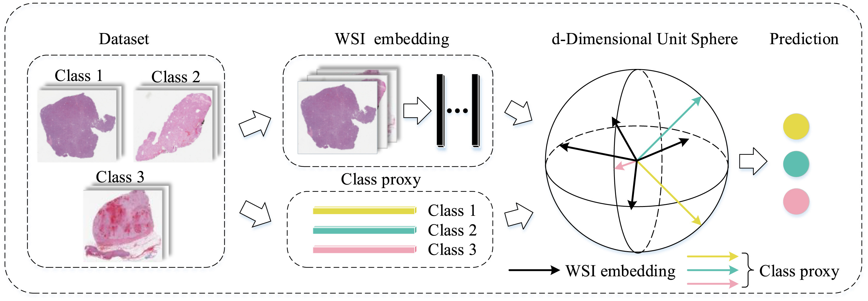 [ESWA 2023] ProMIL: A weakly supervised multiple instance learning for whole slide image ...