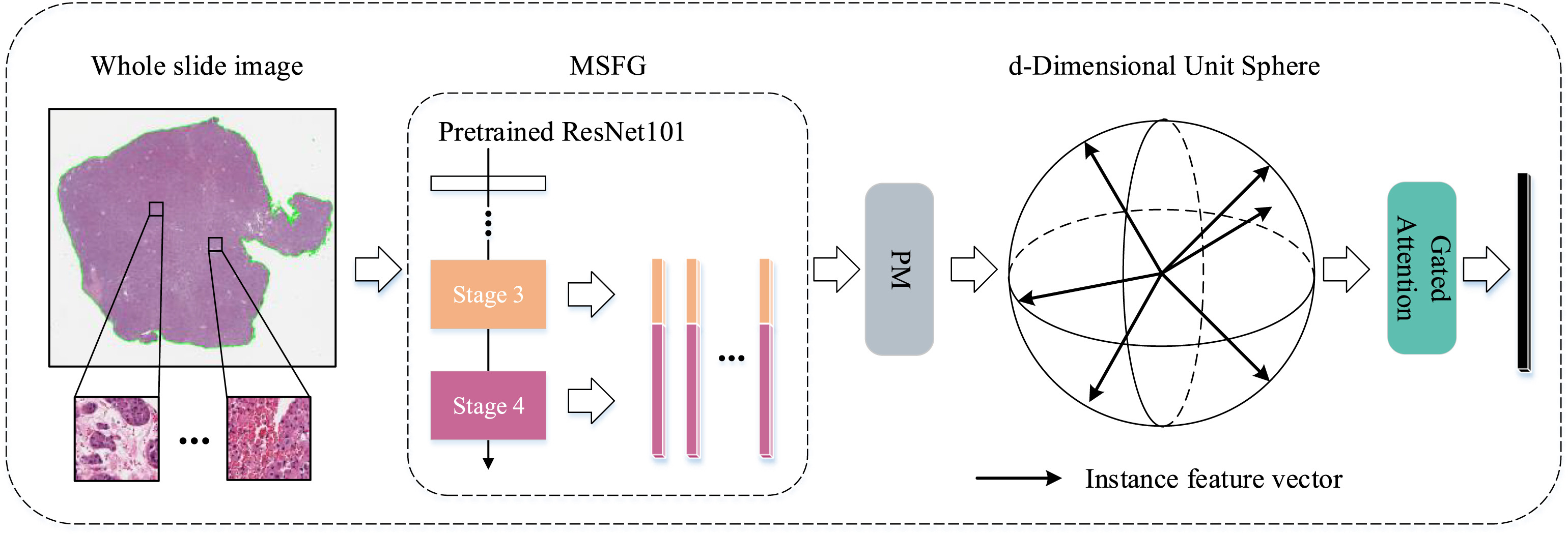 [ESWA 2023] ProMIL: A weakly supervised multiple instance learning for whole slide image ...